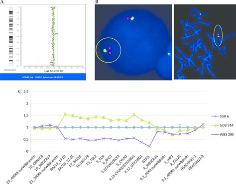 A Array Cgh Profile Of Chromosome 7 The First Clone Duplicated In The