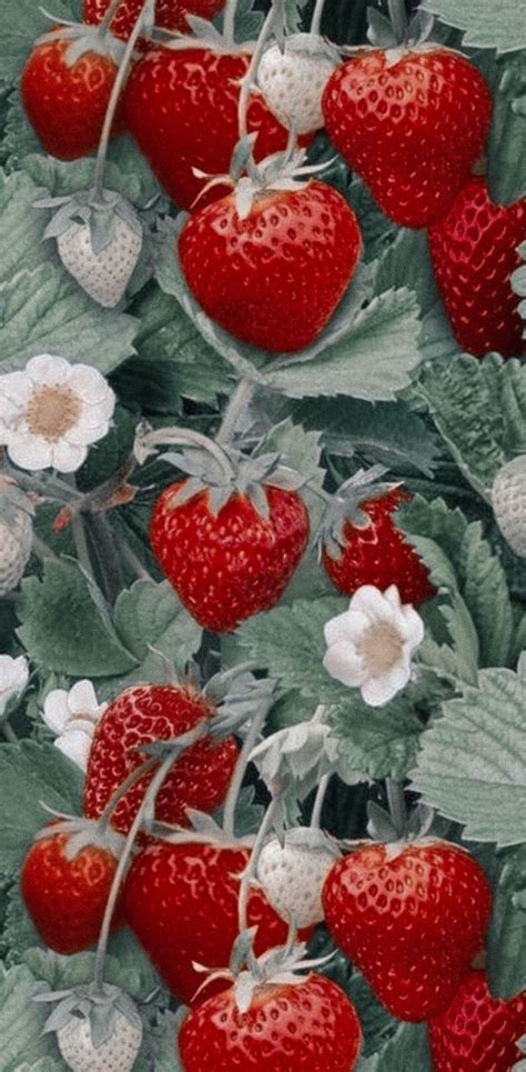 Cute Kawaii Strawberry Phone Wallpaper By Mrconorwashere