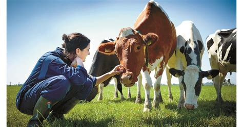 НАУКА Защо здравето на животните е благо за хората и околната среда Български Фермер