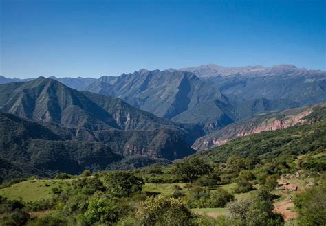 Trekking Las Yungas Armando Chuichuy