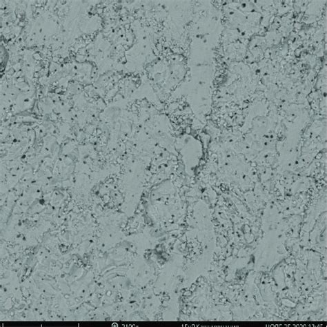 Effects Of Lioh And Li 2 Co 3 Sintering Aids A C Cross Sectional Sem Download Scientific