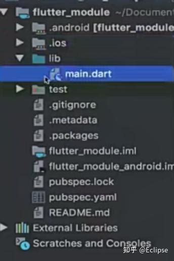 Flutter 与native混合开发方式与双向通信 知乎 Flutter 与native混合开发方式与双向通信 知乎