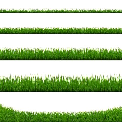 Premium Vector Green Grass Frame Set And Isolated White Background