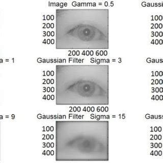 Gaussian Filter Results With Parameters Filter 6 1 Download Scientific Diagram
