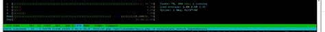 daily script becomes a stuck process with high cpu and memory usage