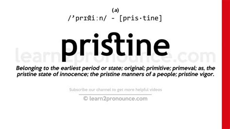 Pristine Definition Meaning And Essence Explained