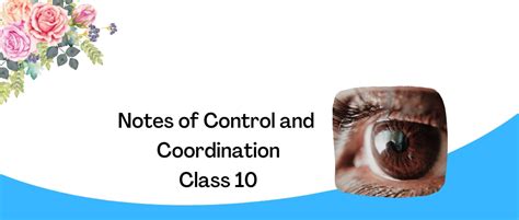 Notes On Control And Coordination Class 10 Biology Toppers Level