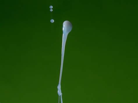 Bottom Basics Live Love Thrive Shop