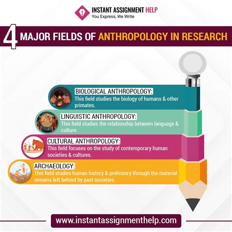 Instant Assignment Help On Linkedin Assignment Assignmenthelp