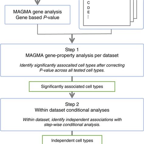 flowchart of cell type specificity analysis using multiple scrna seq