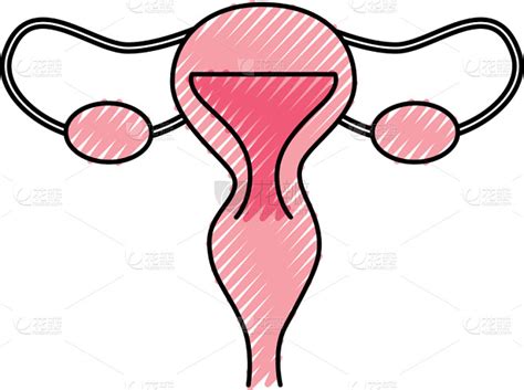 计算机图标 女性生殖系统 健康保健 人 有月经 图像 枝繁叶茂 女人