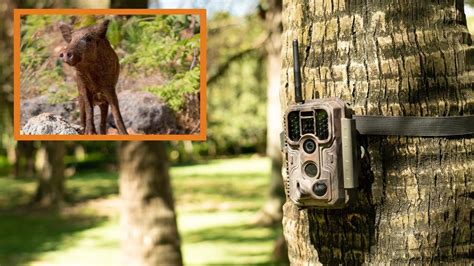 Gardepro E9p Wi Fi Trail Camera Review And Key Features