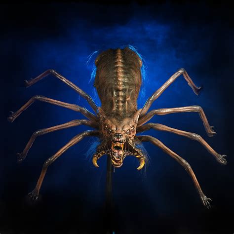 Wolf Spider Halloween Prop Decoration For Sale Online Distortions