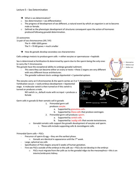 Lecture What Is Sex Determination O Sex Determination Sex Differentiation O The Progress