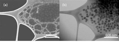 Figure 3 From Preparation Of Porous Liquid Based On Silicalite 1 Semantic Scholar