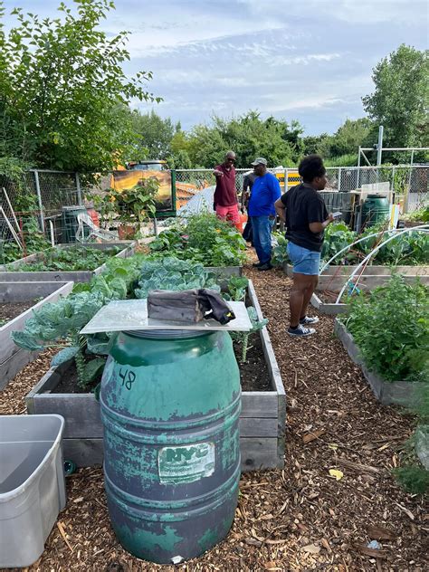 Ying And Yang Spring Ying And Yang Spring Creek Gardeners