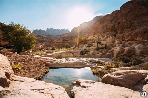 El Negila Saint Catherine Egypt