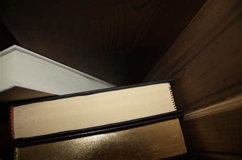Как превратить дверь в ванную в книжный шкаф