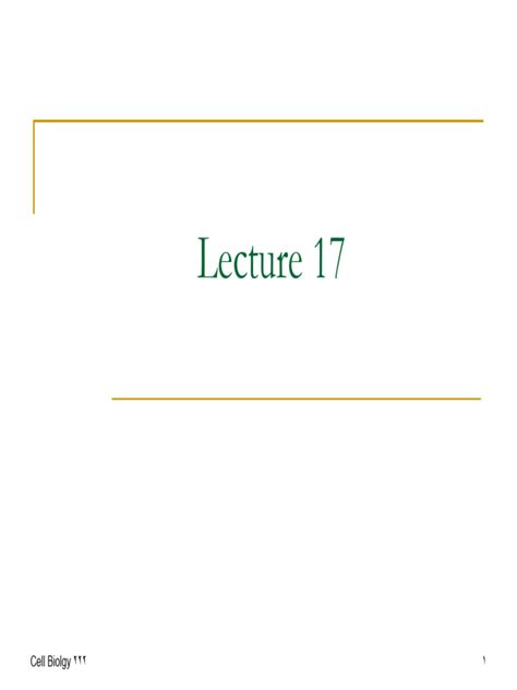 Lecture 17 Pdf Translation Biology Embryo