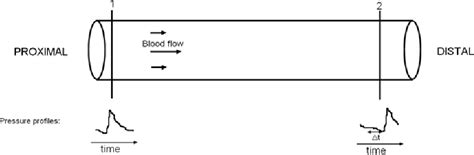 Figure 1 From Finite Element Modeling Of The Pulse Wave Propagation In