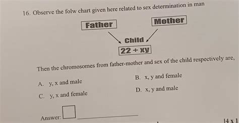 Observe The Folw Chart Given Here Related To Sex Determination In Man Brainly In