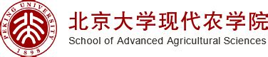 现代农业研究院研究员 北京大学现代农学院