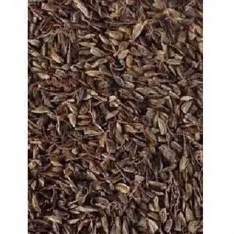 Stylo Hamata Grass Seeds Packaging Type Hdpe Bag Packaging Size 1