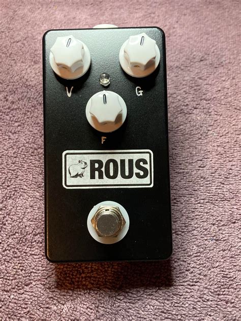 Coder Rat Rprogrammerhumor