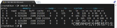 Linux进阶篇：性能监控工具——vmstat命令详细讲解 Csdn博客