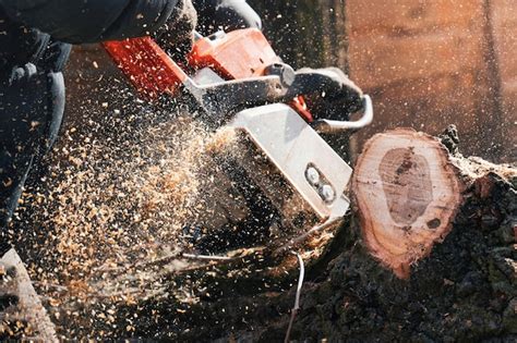 Premium Photo Closeup Of A Man Sawing A Tree With A Chainsaw With Flying Sawdust