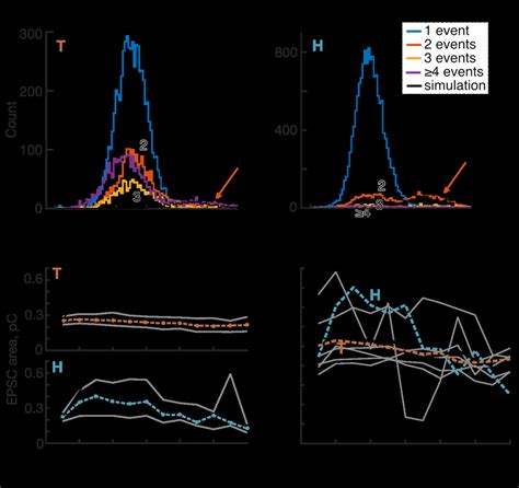 Epsc Area Declines Slightly As The Number Of Events In The Epsc Download Scientific Diagram