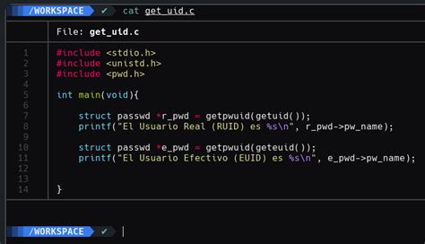 Permisos Sgid Suid Y Sticky Bit Linux Deep Hacking