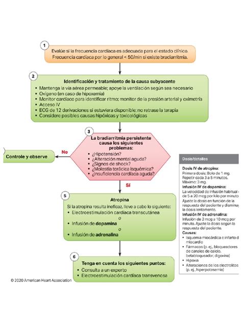 algoritmos pdf