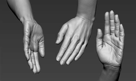 Female Hand Amen Pose Free 3d Model Cgtrader