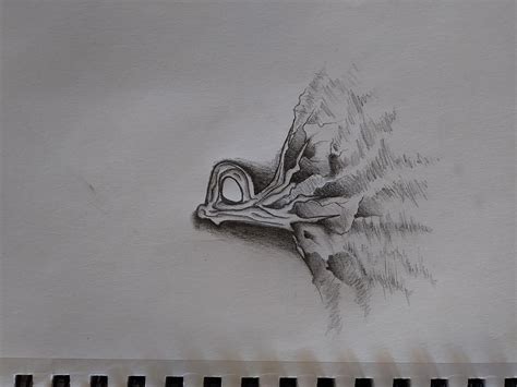 R Tree Drawing By Jay Hernandez Fine Art America