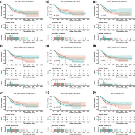 Prognostic Value Of This Prognostic Signature Containing Nine Snrnas