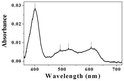 Uvvis Ultravioletvisible Spectroscopy Of Myoglobin Adsorbed On