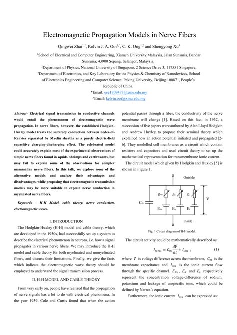 Pdf Electromagnetic Propagation Models In Nerve Fibers
