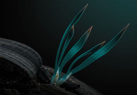 Power Dynamics Data Collection → Term