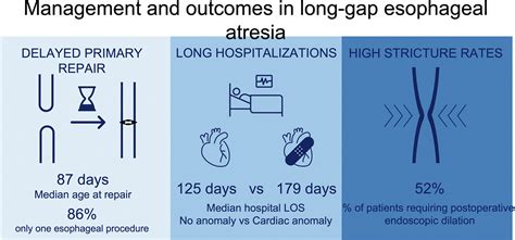 Delayed Primary Repair In 100 Infants With Isolated Long Gap Esophageal