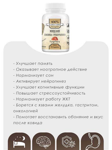 Мицелий Ежевика гребенчатого в капсулах ноотропное действие эринацинов ...