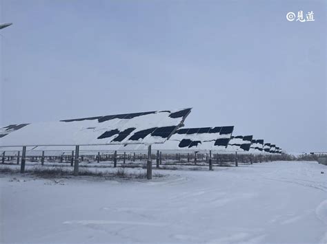 新疆光伏产业蓬勃发展，石河子市推动经济绿色升级！ 见道网