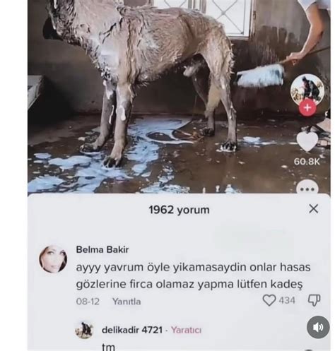 307 Best R Cutetopia Images On Pholder So Take A Side Red Or Blu🗣️🗣️🗣️