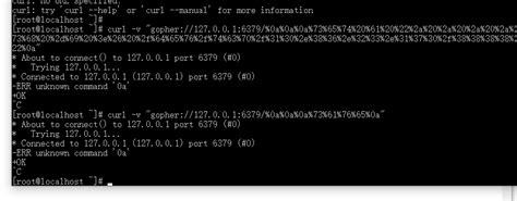 Ssrf Gopher协议反弹shell Windecode 博客园