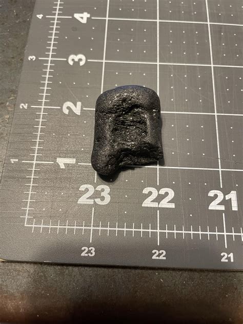 Id Request Found On Nc Beach Usa R Fossils