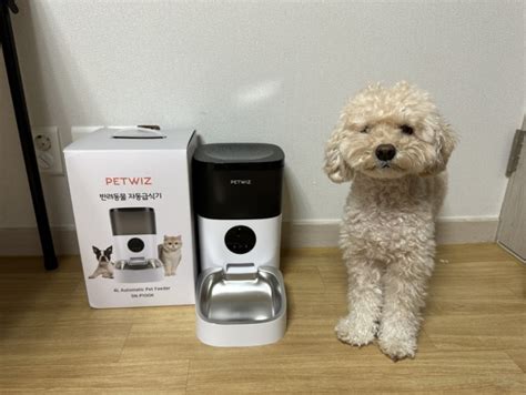 강아지 자동급식기 스마트홈캠 연동으로 안심이야 비마이펫 크리에이터즈
