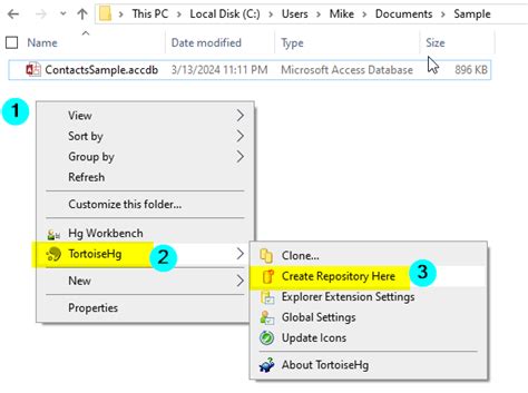 Access Version Control A Quick Start Guide