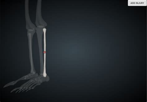 Add Offset To Orbit Controls To Not Rotate Around Center Of Viewport