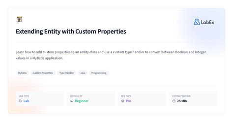 Mybatis Custom Properties Type Handler Labex