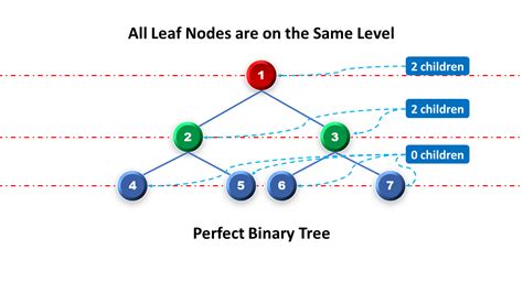 Binary Tree In Data Structure And Algorithm Dsa